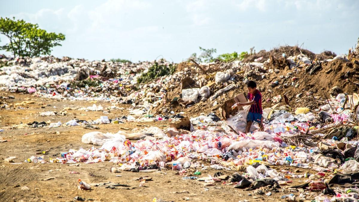 Will New Measures on Single Use Plastics Impact Paper Demand? - PG Paper