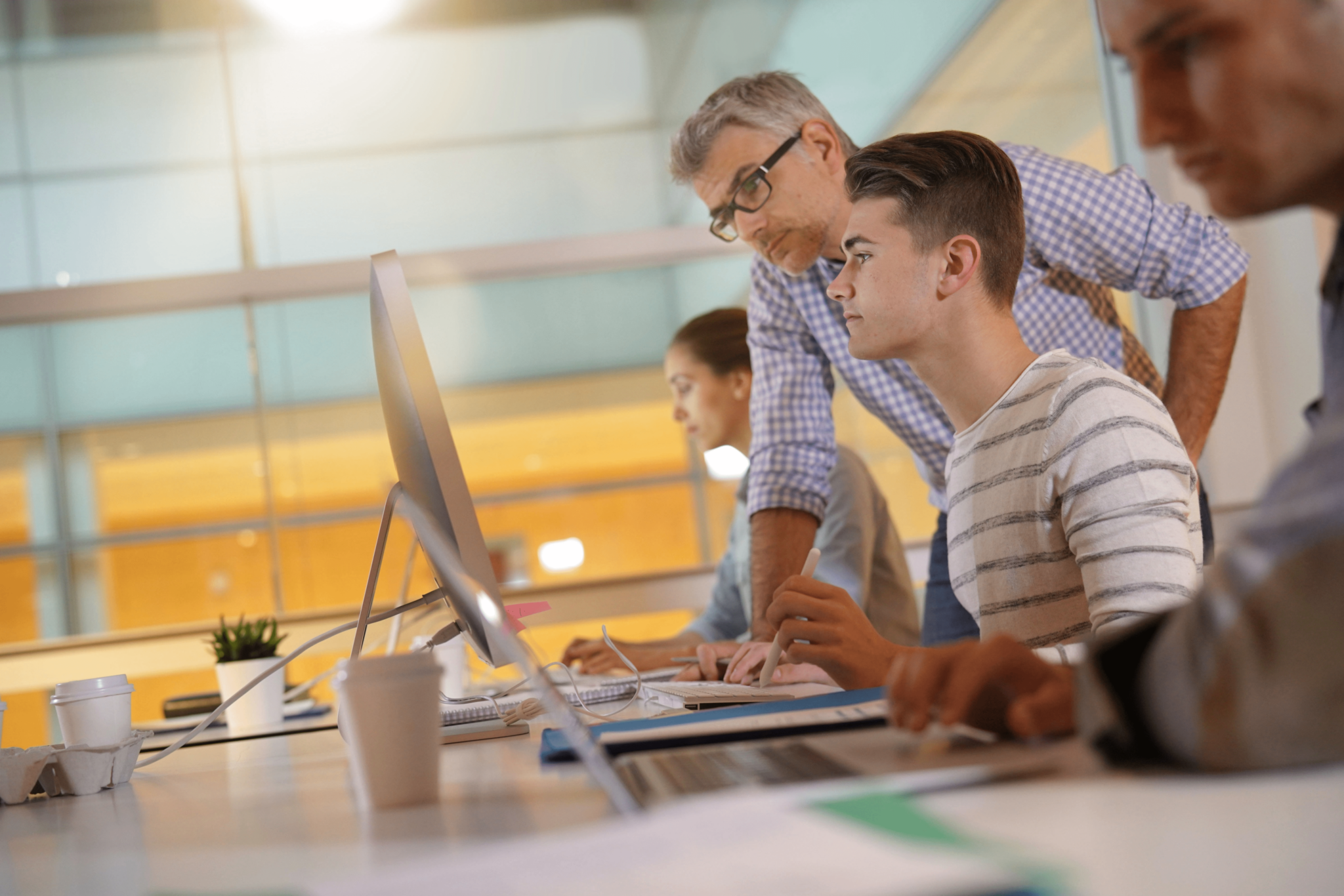 The Importance of Modern Apprenticeships - PG Paper