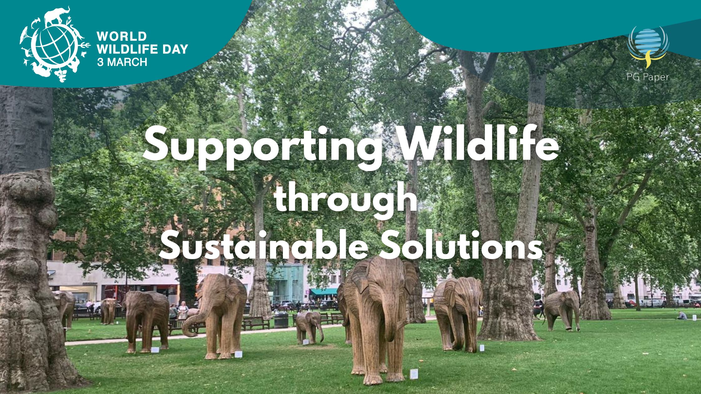 Supporting Wildlife Through Sustainable Solutions - PG Paper