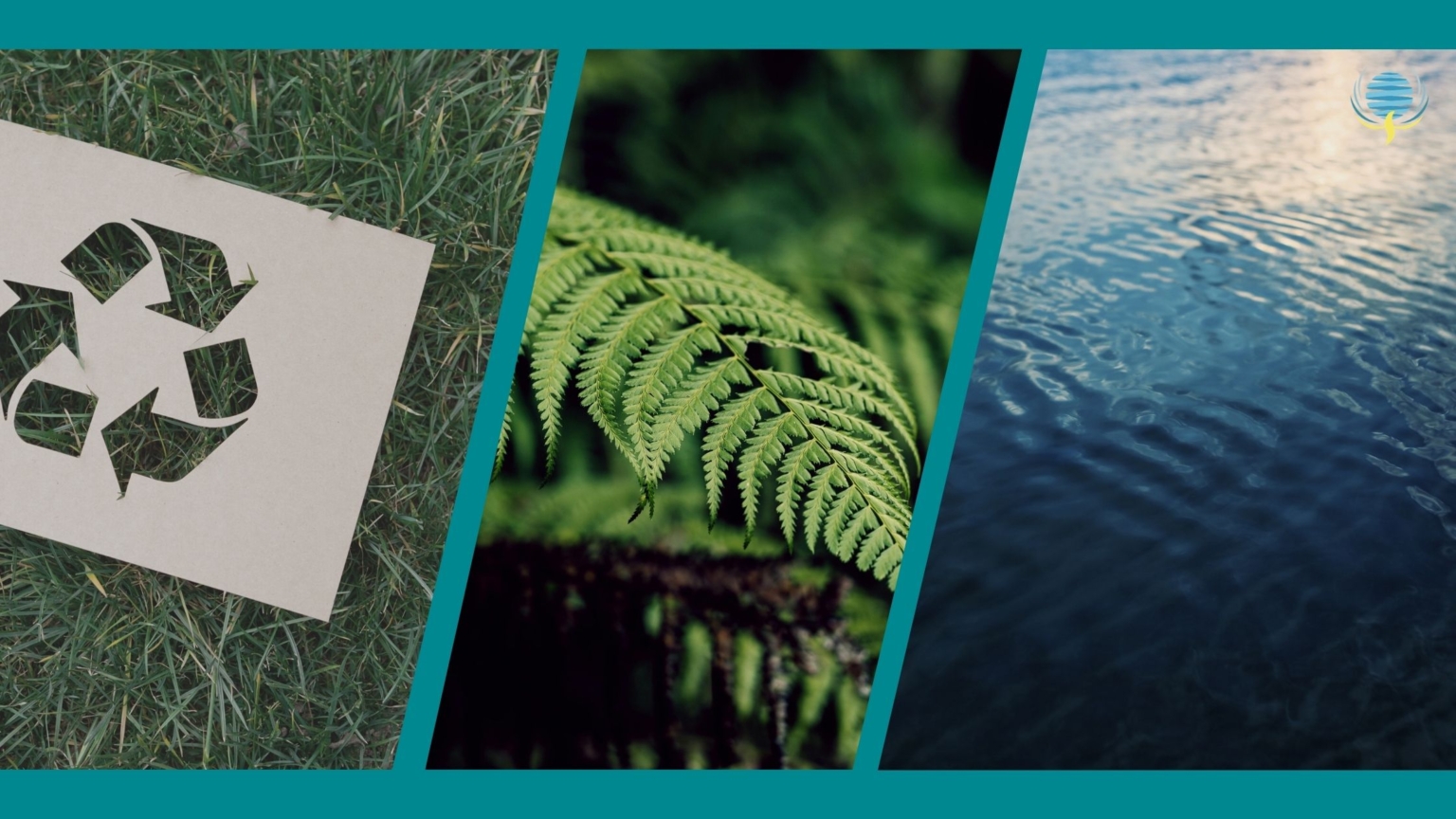 Sustainable Paper Production: Recycling, Forests and Water - PG Paper